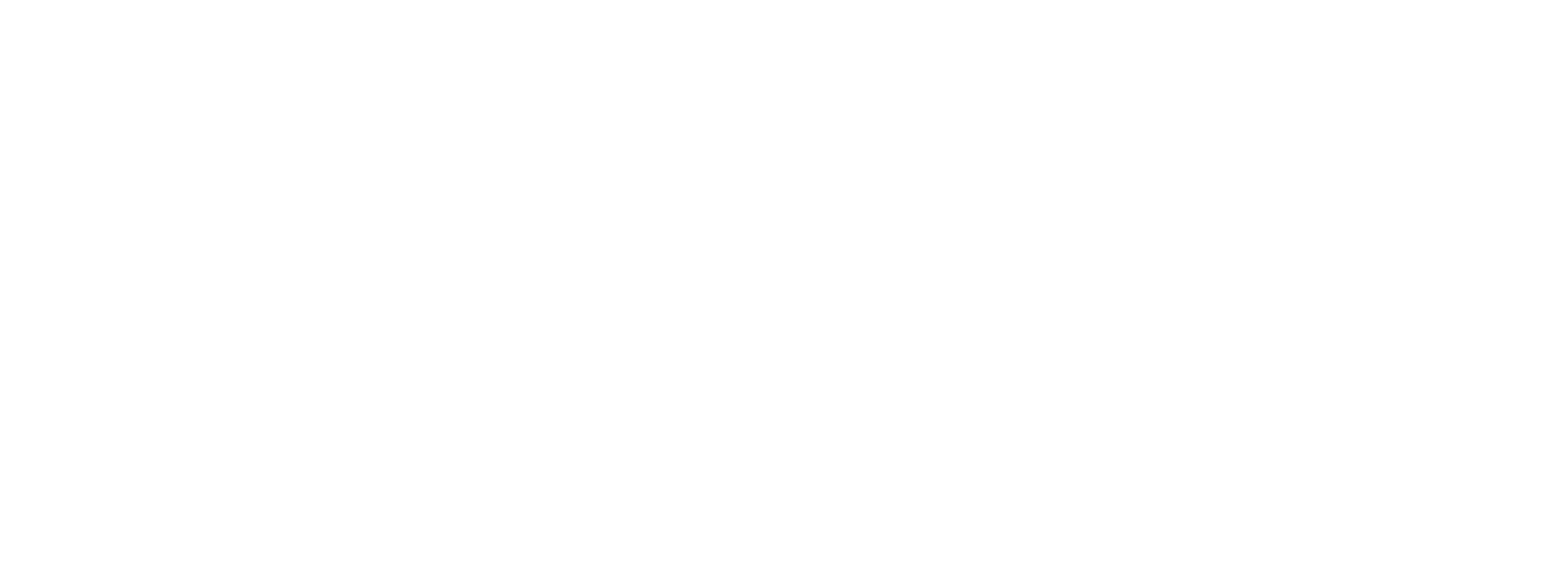 Web Frontend Developer
